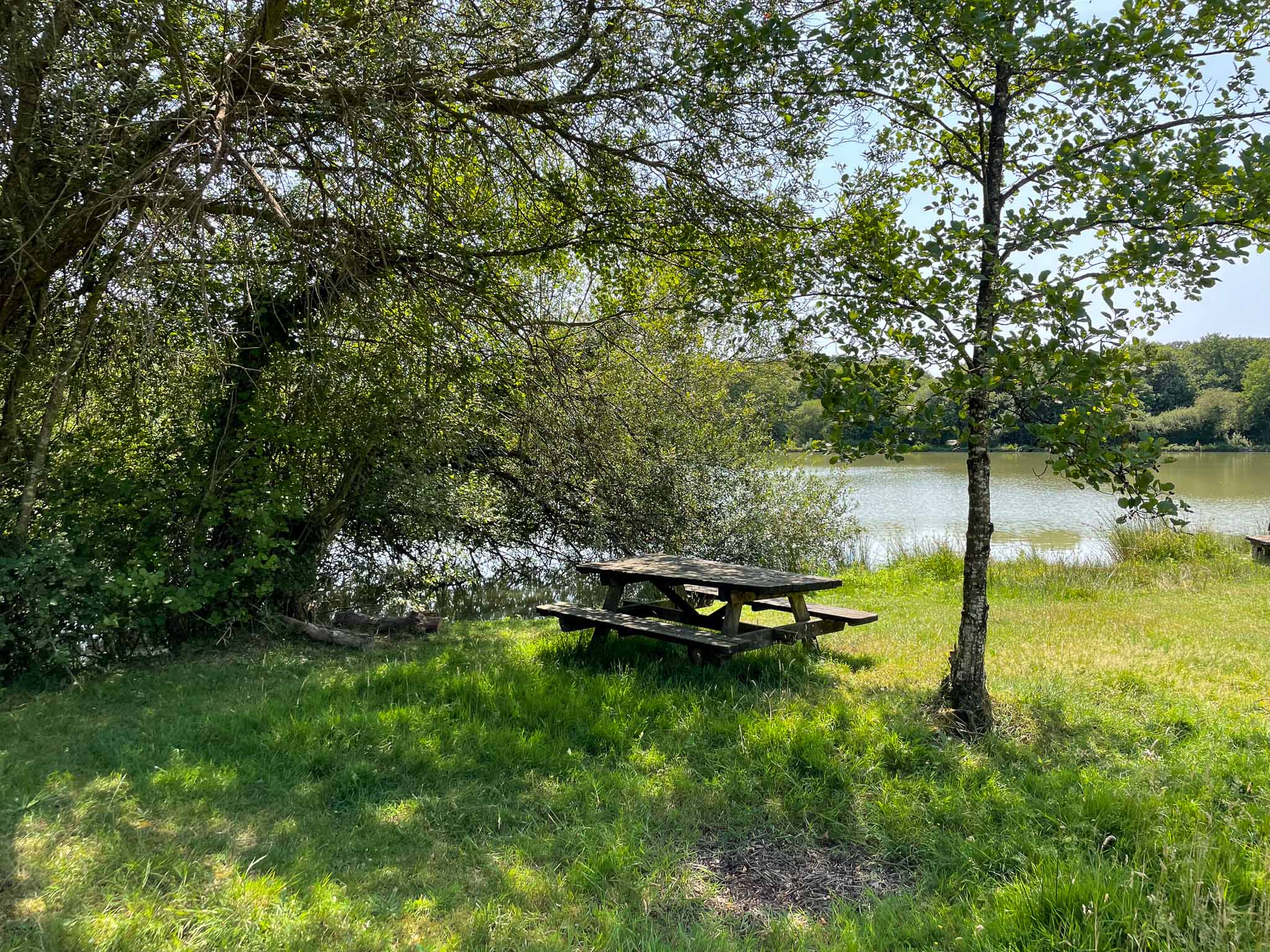 Espace naturel des Renaudières | Mairie de Saint-Fulgent