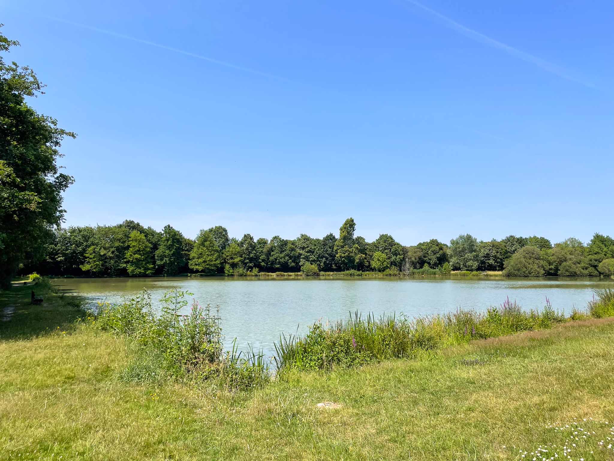 Espace naturel des Renaudières | Mairie de Saint-Fulgent
