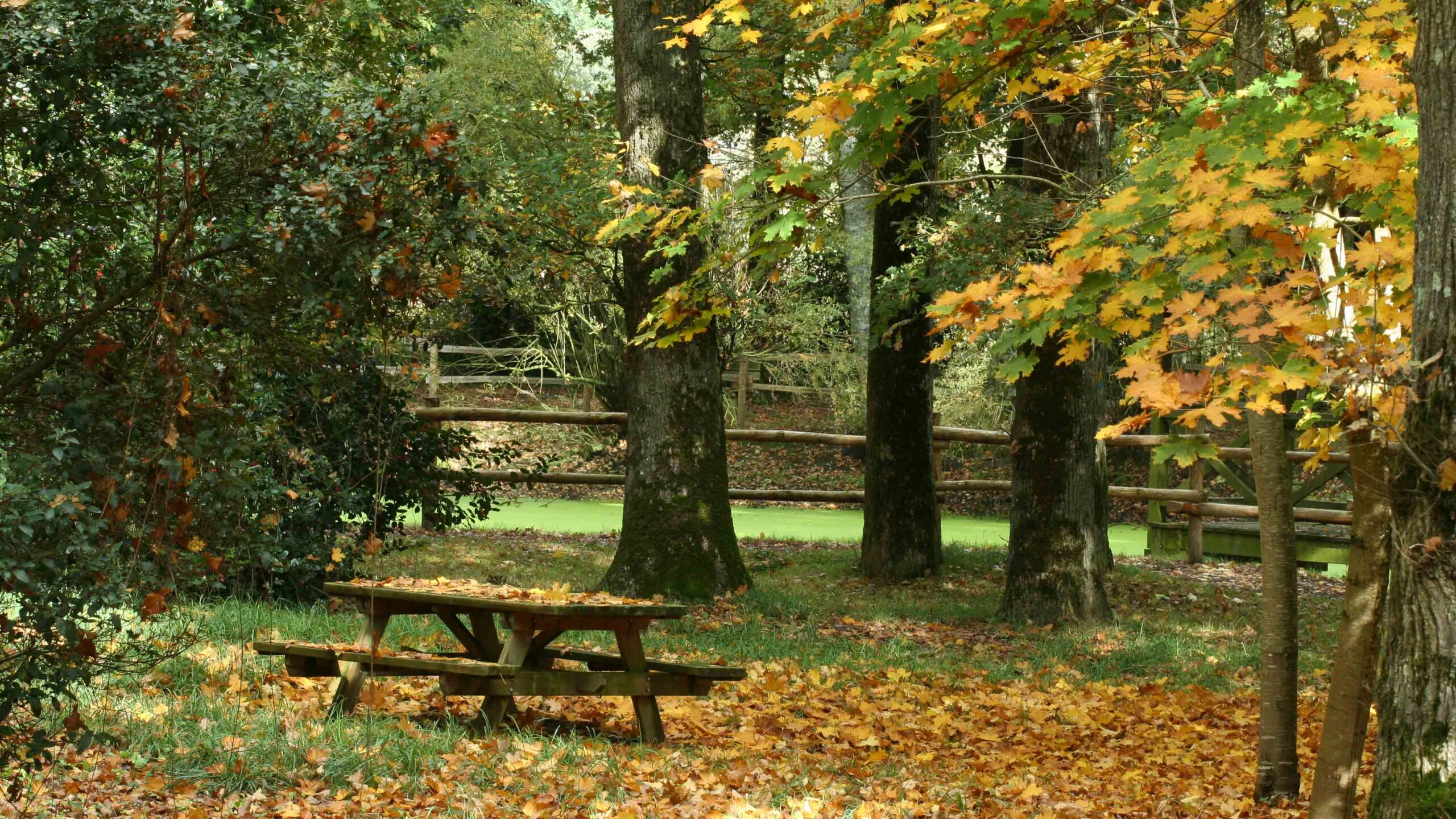 Balades et randonnées - Saint-Fulgent (85)