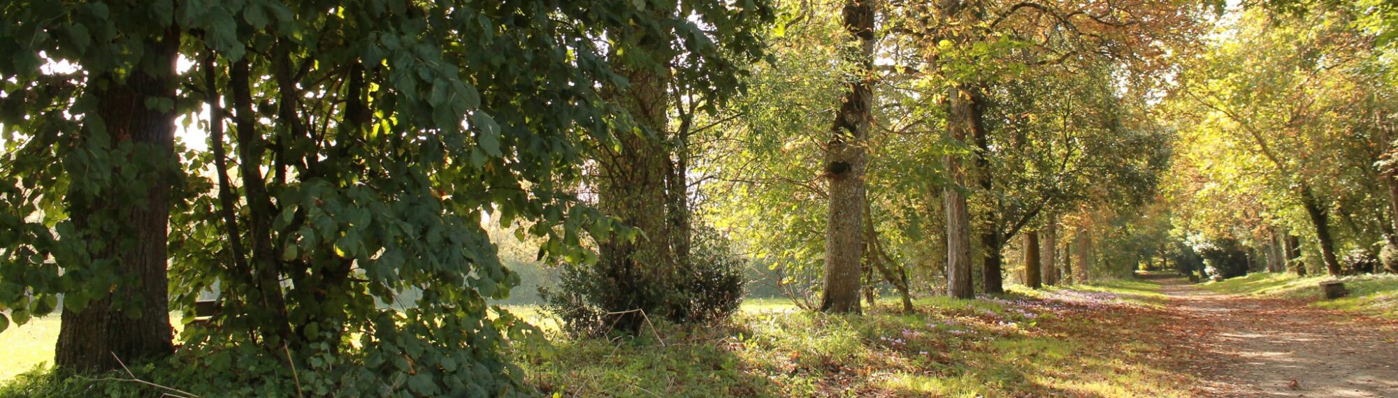 Parc de la Mare aux Fées - Saint-Fulgent (85)